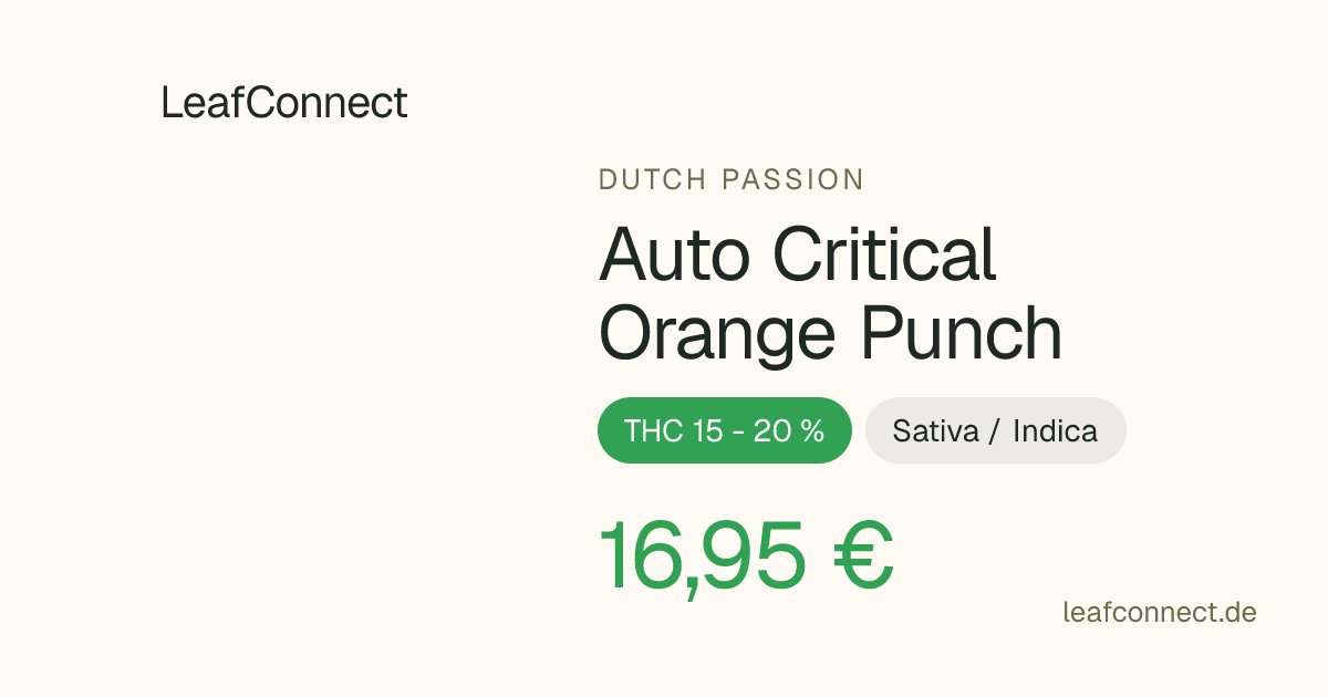 Auto Critical Orange Punch — LeafConnect